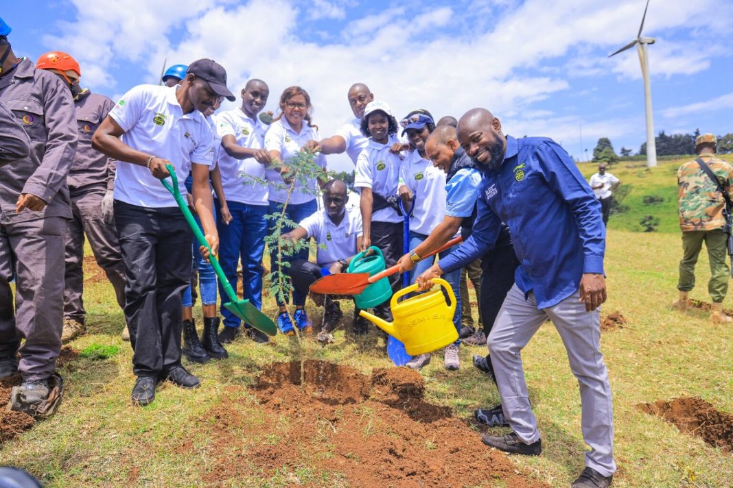 Kenya marks World Environmental Health Day with tree planting drive at ...